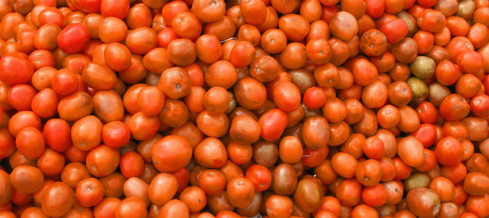 La Tomatina Spanish Festival, Spanish Culture